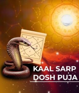 Kaal Sharpa Dosh problem solution & counseling | Online Aghori | The ...